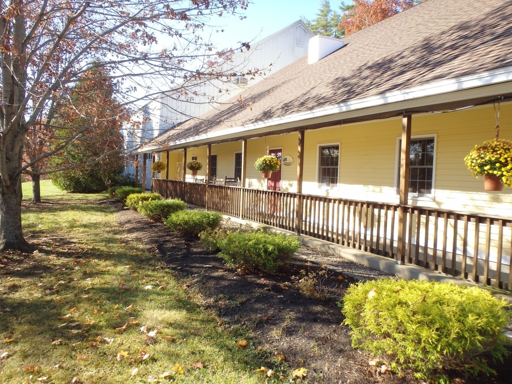 Hubbington's Furniture | Finch Poly Outdoor Furniture